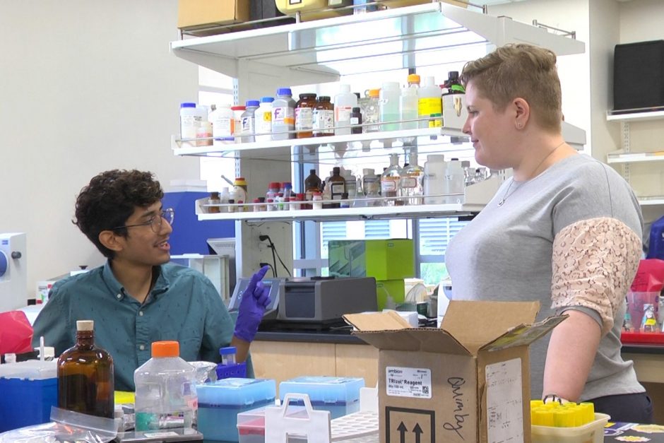 CSRI students contribute to battle against antibiotic resistance